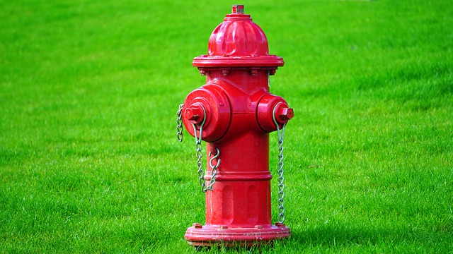 Fire Hydrants - A History - Inspector Toolbelt Home Inspection Software App